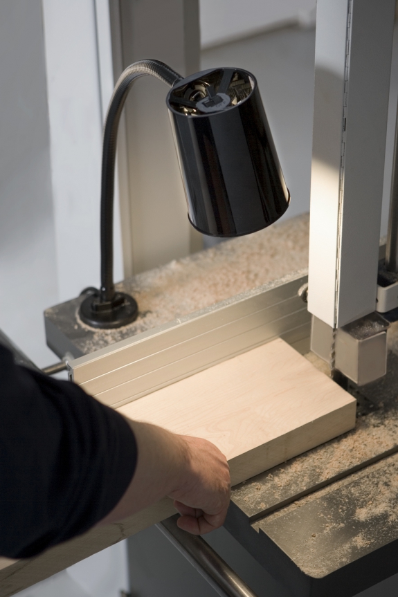 Snake-Arm Lamps | Danray Products