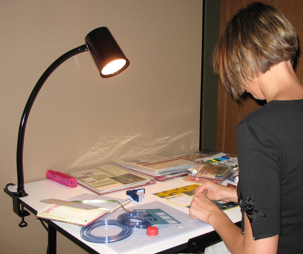 Snake-Arm Lamps | Danray Products